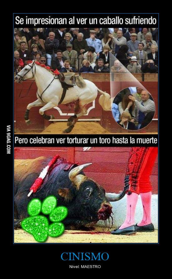 Cinismo total - 9GAG