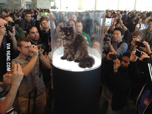 ICat - Apple New Gadget - 9GAG