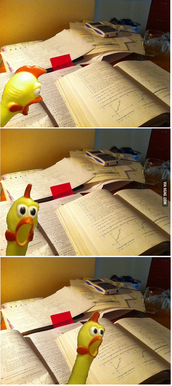 Dramatic chicken prepares for the finals - 9GAG
