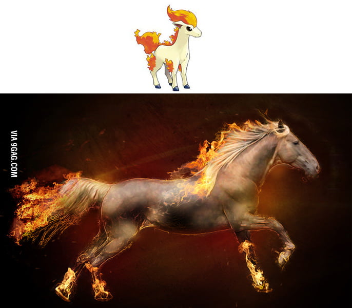 Real Life Ponyta - 9GAG