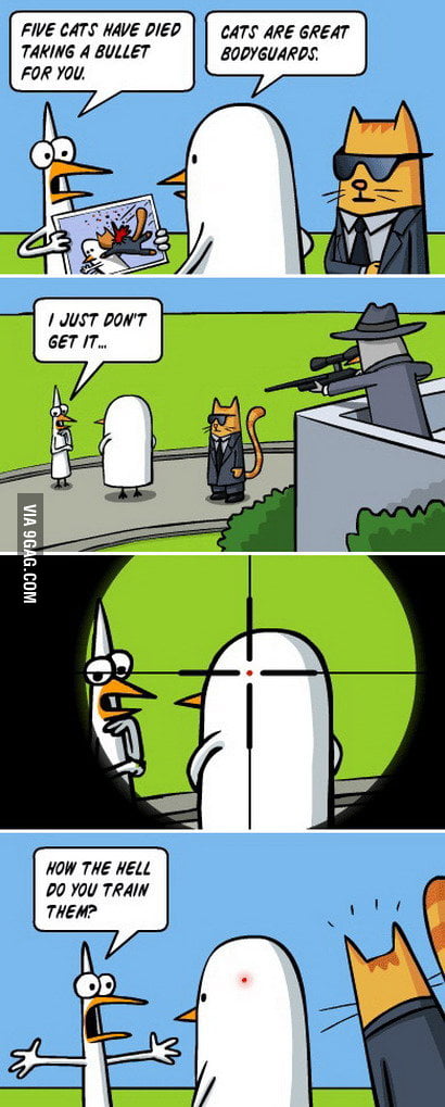 Cat Bodyguard - 9GAG