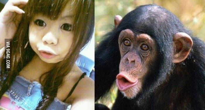Duck face vs monkey face.... or is it??? - 9GAG