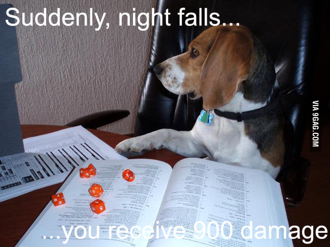 Dog dungeon master - 9GAG
