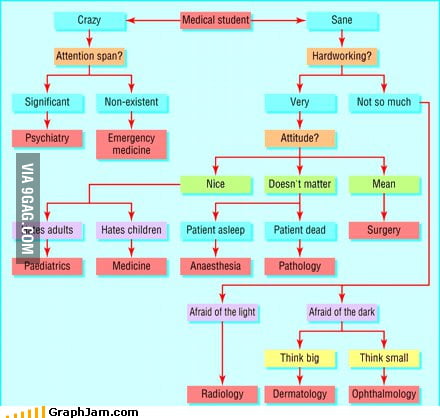 Which Medical Profession Is Right for You? - 9GAG