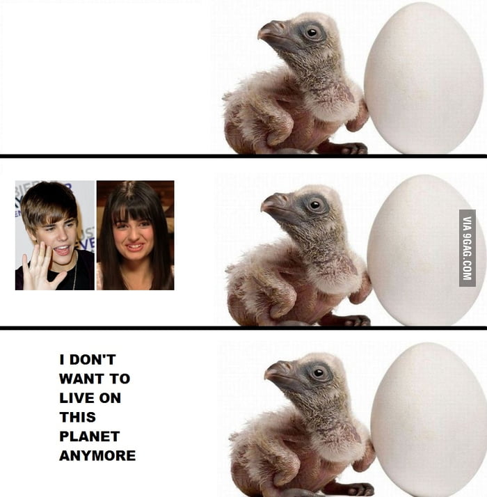 Coming out of Shell - 9GAG