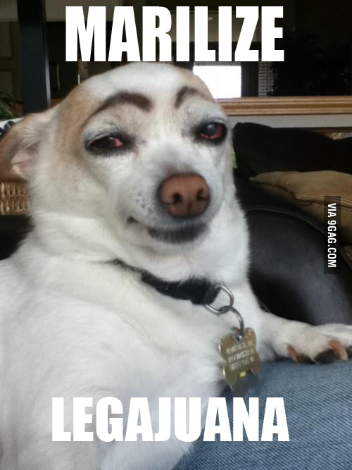 Marilize legajuana.. - 9GAG