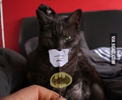 Nanananananananana CATMAN! - 9GAG