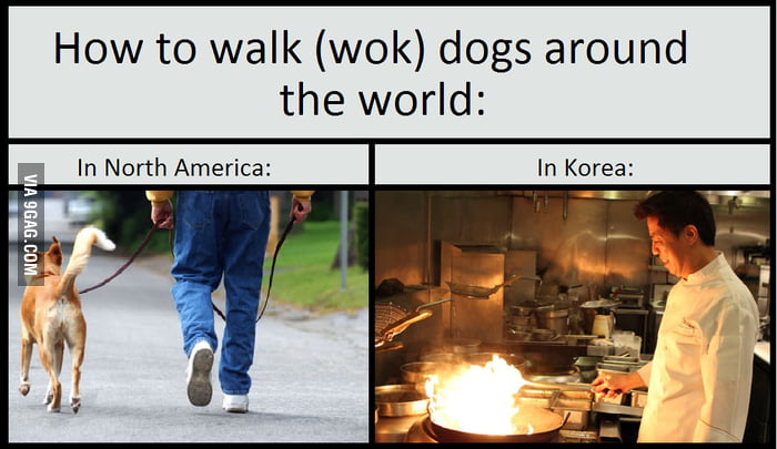 Cultural Differences - 9GAG