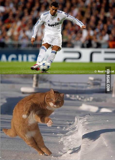 Cat like a Ronaldo - 9GAG