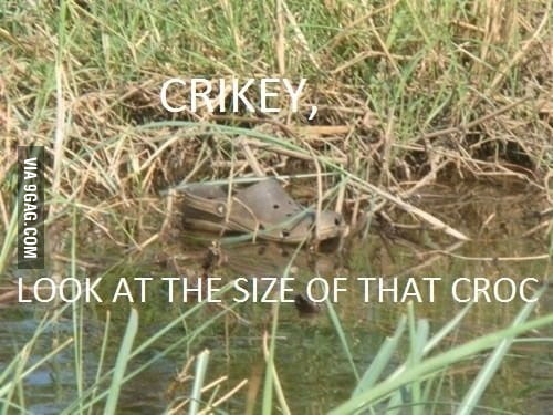 Crikey! - 9GAG
