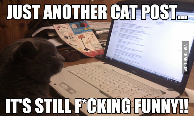 Overly ironic cat - 9GAG