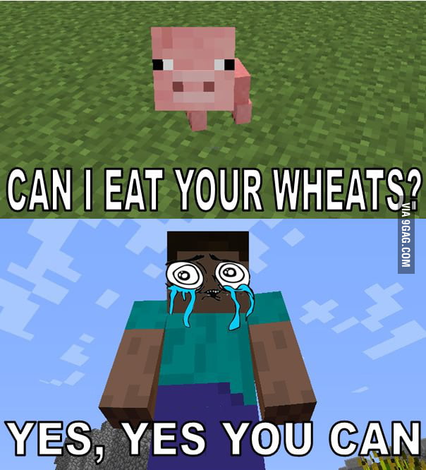 Baby Pigs in Minecraft - 9GAG