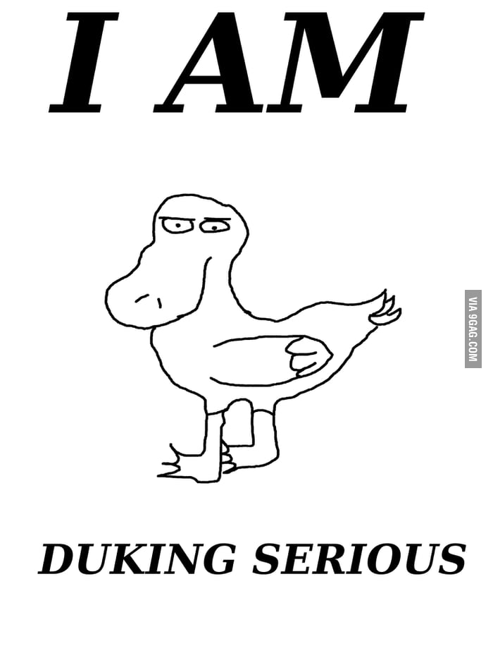 This duck is serious! - 9GAG