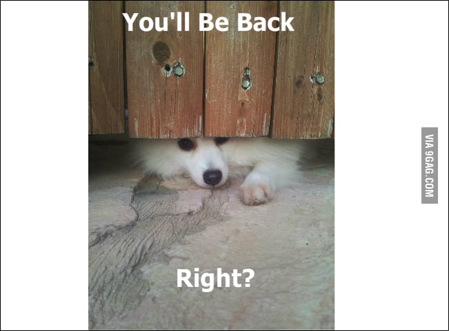 You'll Be Back right? - 9GAG