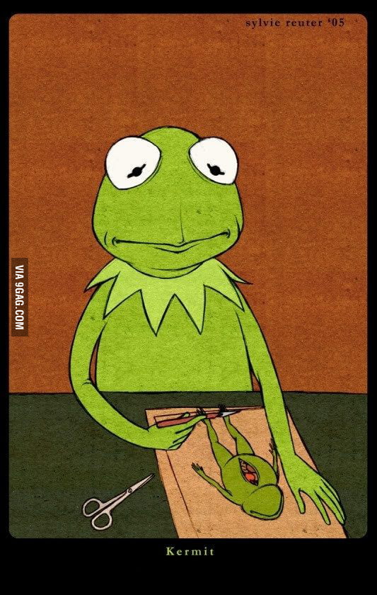Poor Kermit - 9GAG