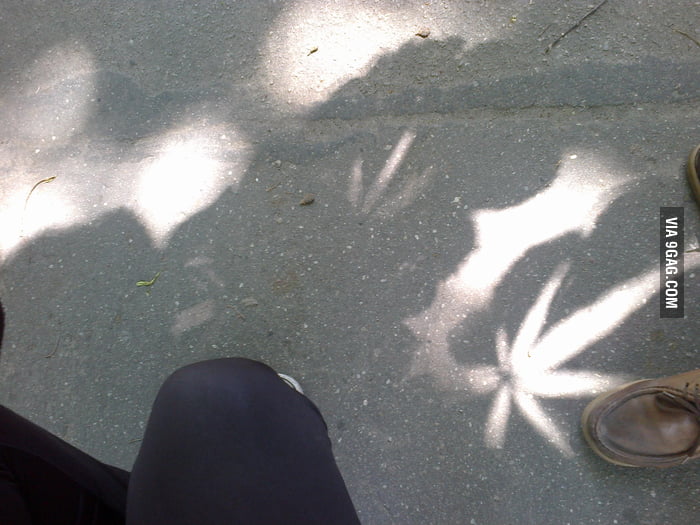 Awesome shadow is awesome. - 9GAG