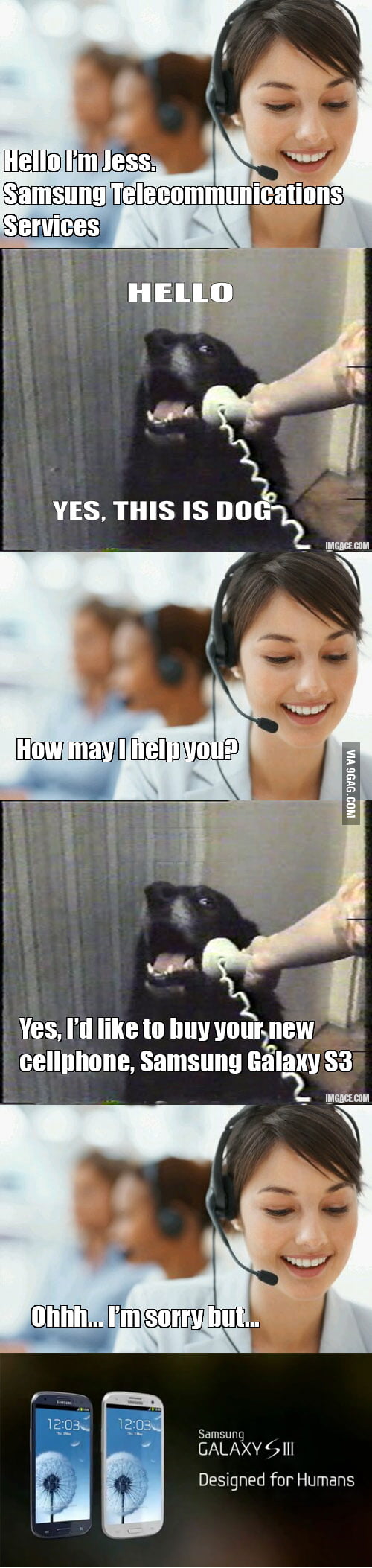 Poor dog... - 9GAG
