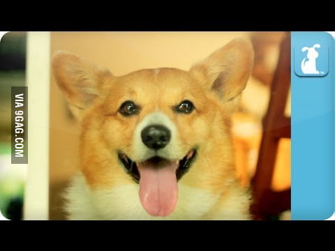 BEST COVER EVA! - 9GAG