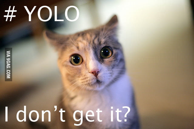 #Yolo cat - 9GAG