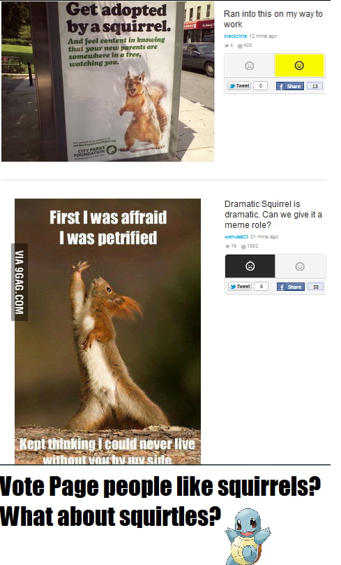 LIKE _ALL_ THE SQUIRRELS! - 9GAG