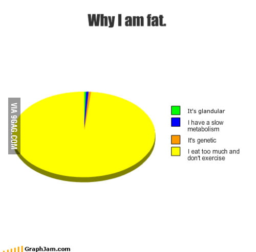 Why I am fat - 9GAG