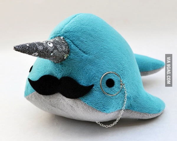 Sir unicorn dolphin - 9GAG