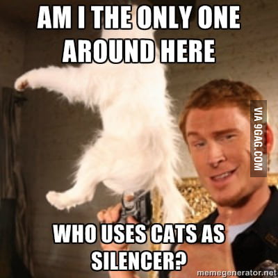 CAT-SILENCER, OF COURSE ?! - 9GAG