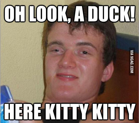 Really high guy - animal adventure - 9GAG