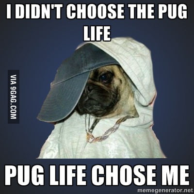 What up, Dog? - 9GAG