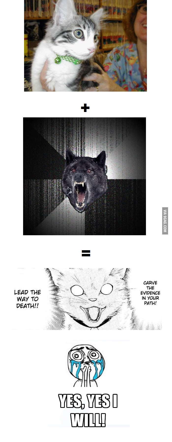 Insanity Cat - 9GAG
