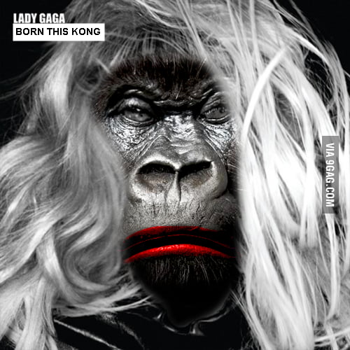 Lady Kong - 9GAG