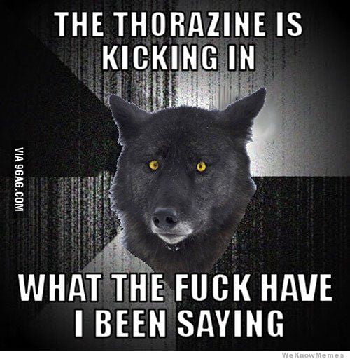 Funny Insanity Wolf Meme