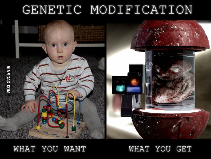 GENETIC MODIFICATION - 9GAG