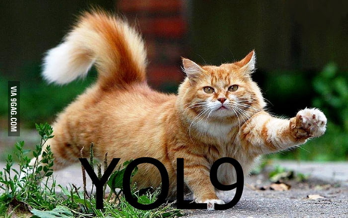 YOLO.. F**K THAT YOL9... - 9GAG