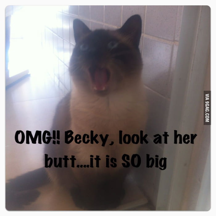 OMG ! Becky look at her .... - 9GAG