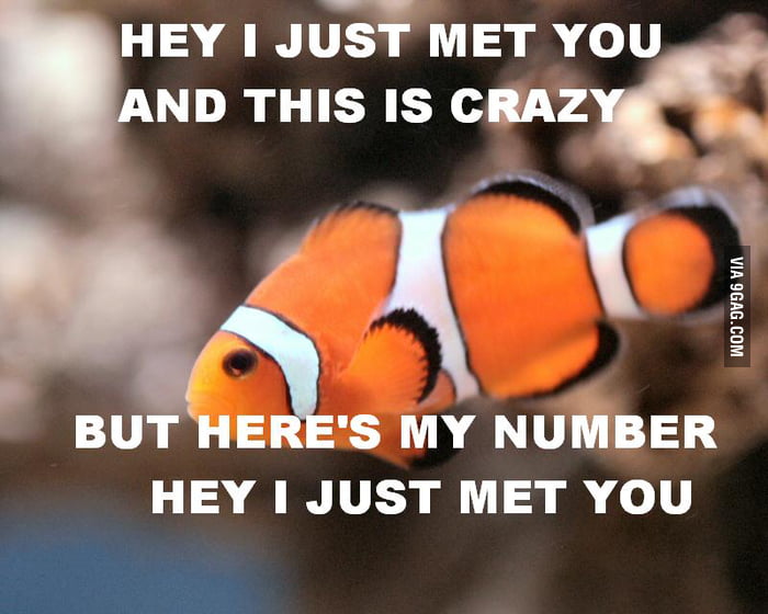 Dora from Nemo! - 9GAG