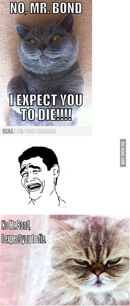 Bond Cat - 9GAG