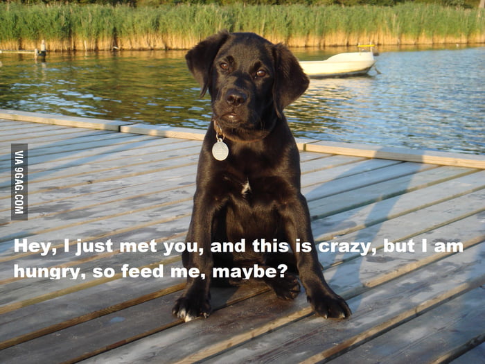 I'm soooo hungry! - 9GAG