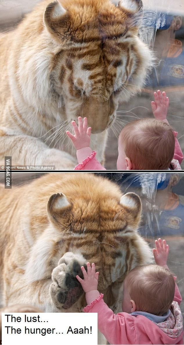 I's soooo hungry! - 9GAG