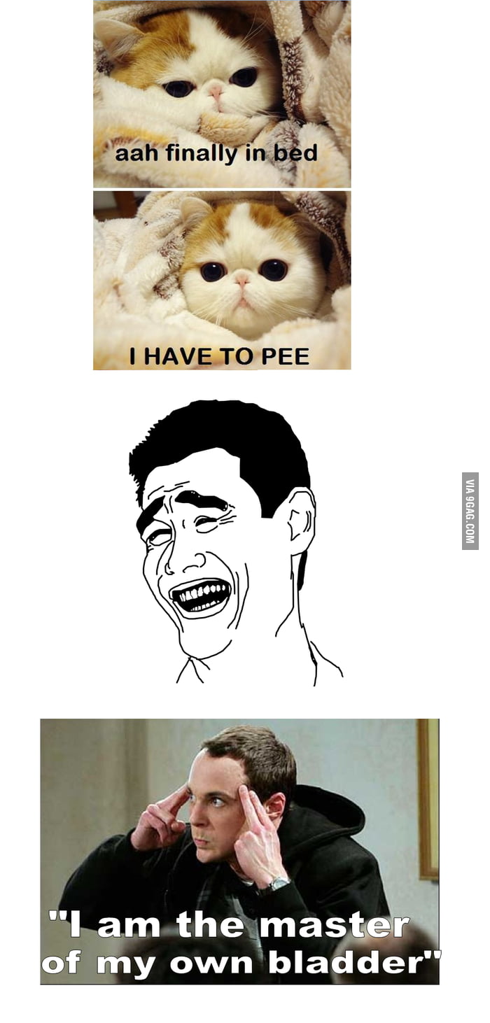 Epic Sheldon is epic - 9GAG