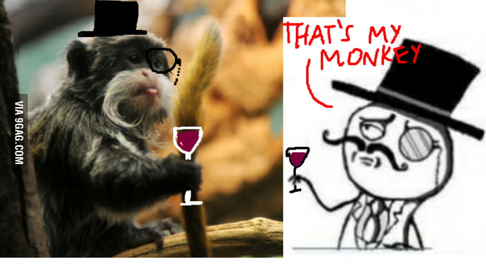 Feel like Sir Monkey - 9GAG