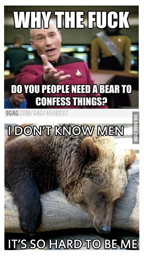 Leave bears alone! - 9GAG