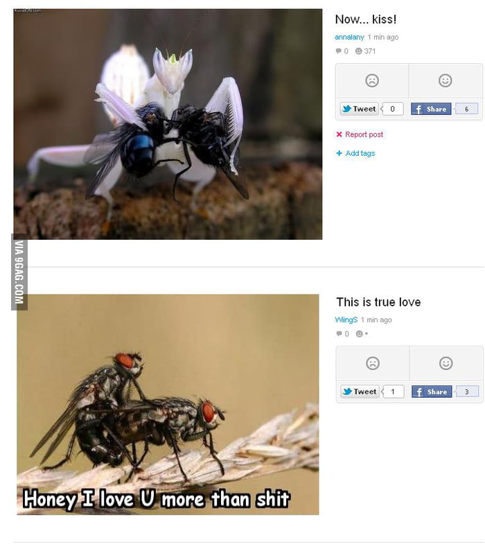 Epic Combination - 9GAG