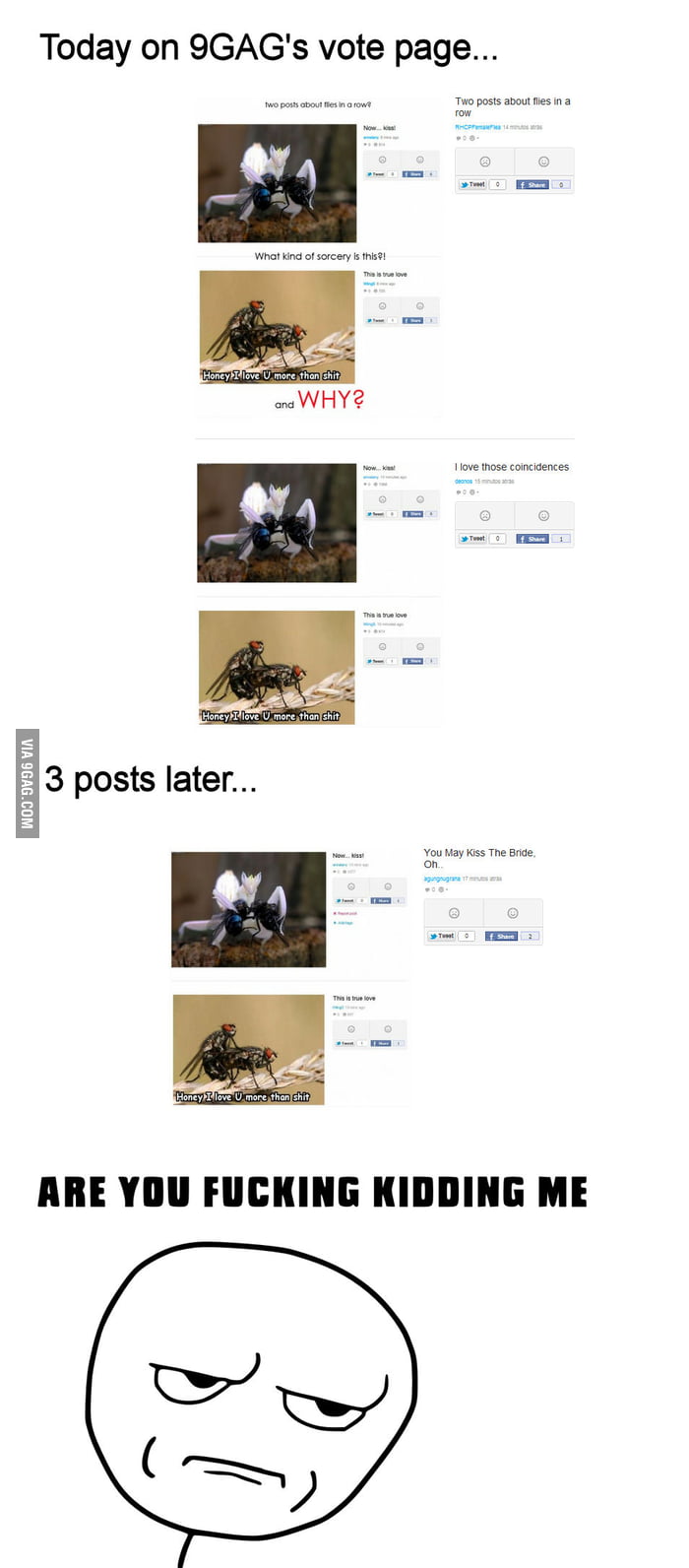 Seriously 9GAG users... - 9GAG