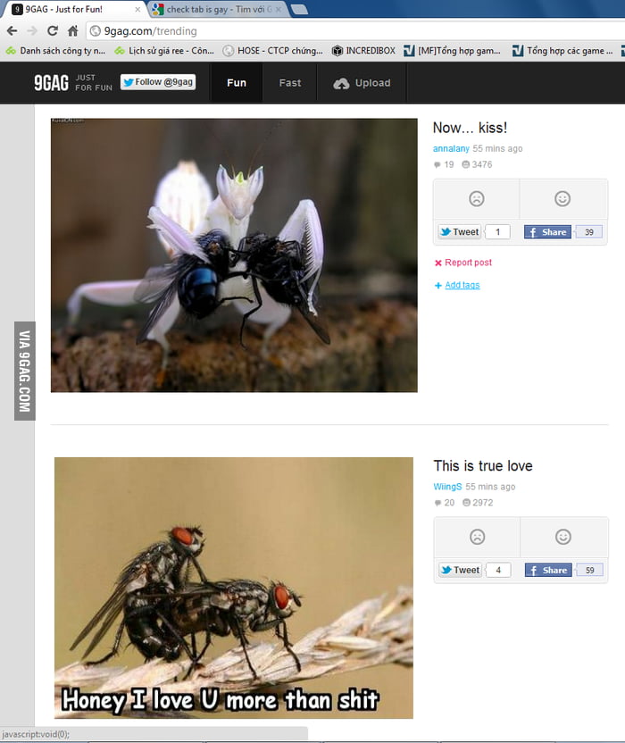 Good guy mantis - 9GAG
