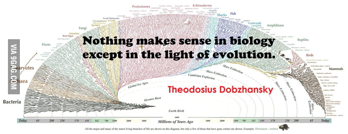 Evolution makes perfect sense - 9GAG