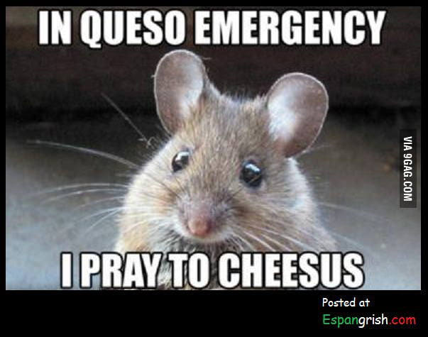 Praying to cheesus - 9GAG