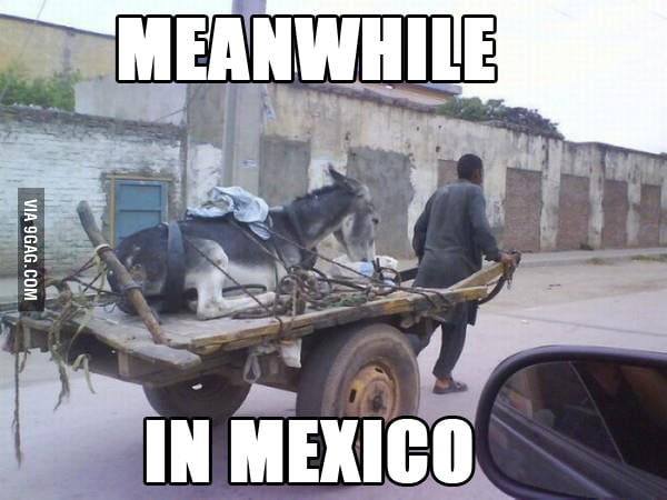 Meanwhile in mexico - 9GAG