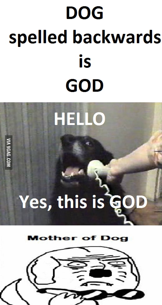 Yes, this is... - 9GAG