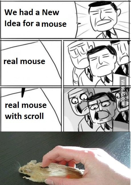 Real mouse! - 9GAG